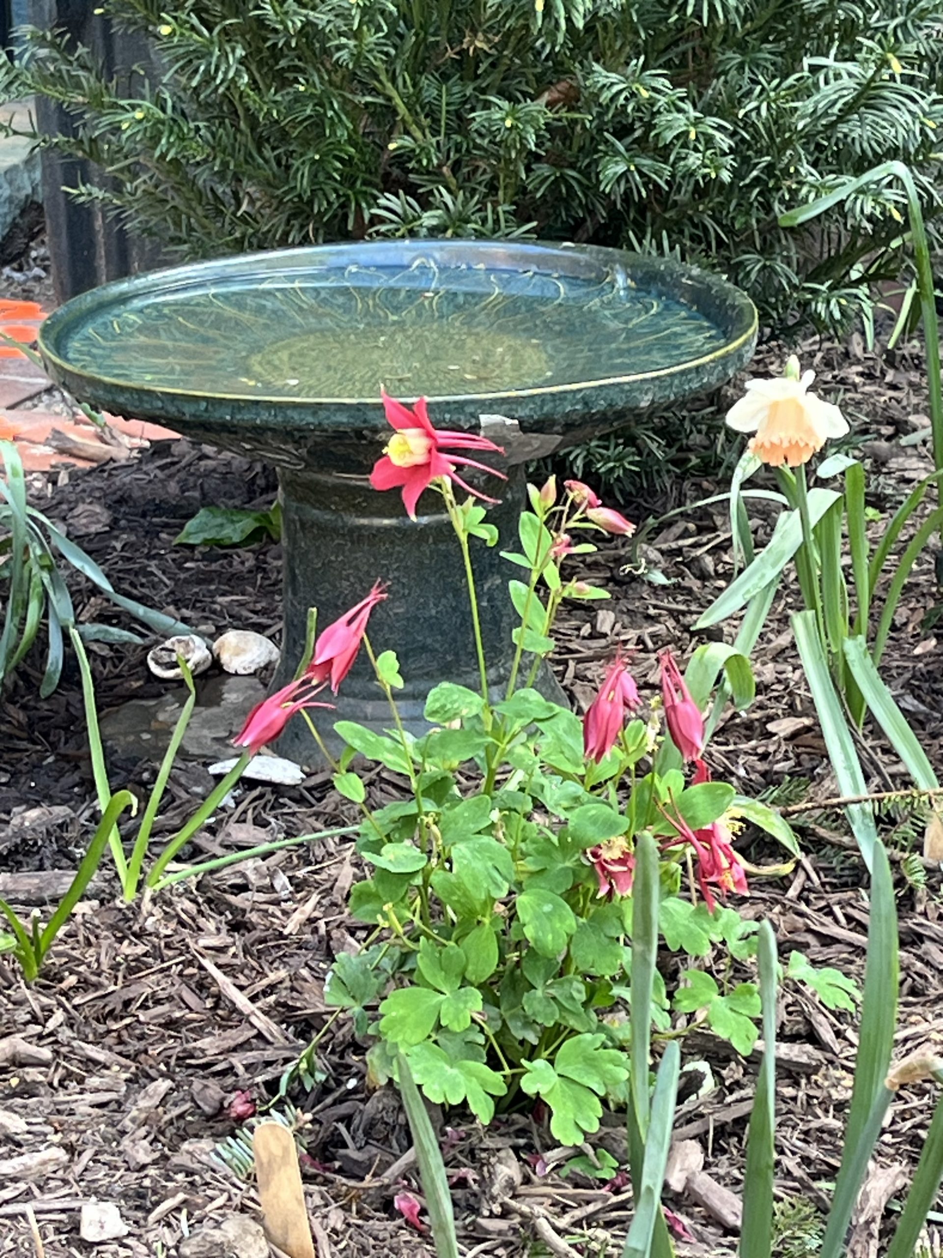 All Beings Zen Sangha – The All Beings Zen Sangha welcomes and affirms ...