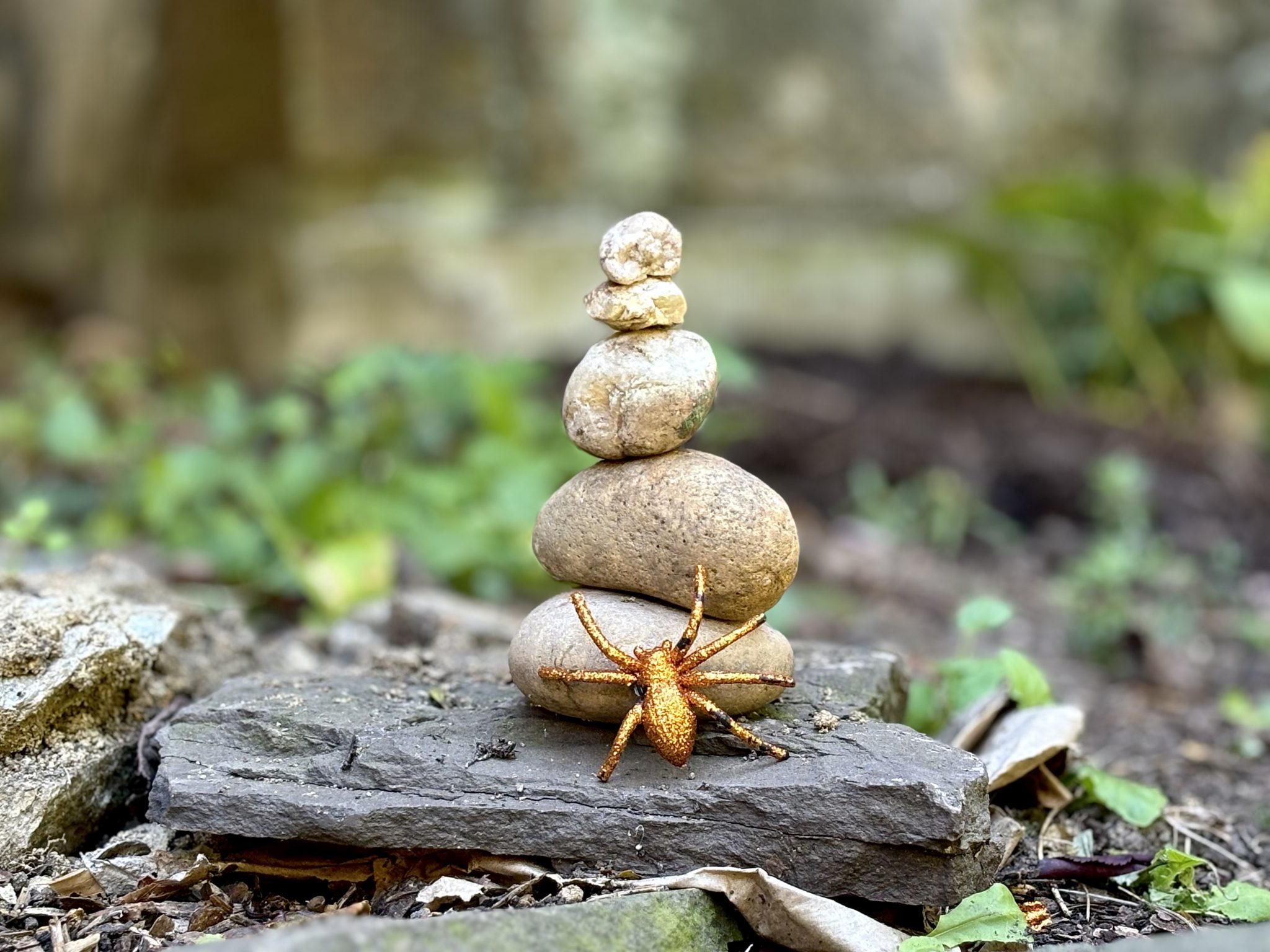 All Beings Zen October Zazenkai – Sunday Recap – All Beings Zen Sangha